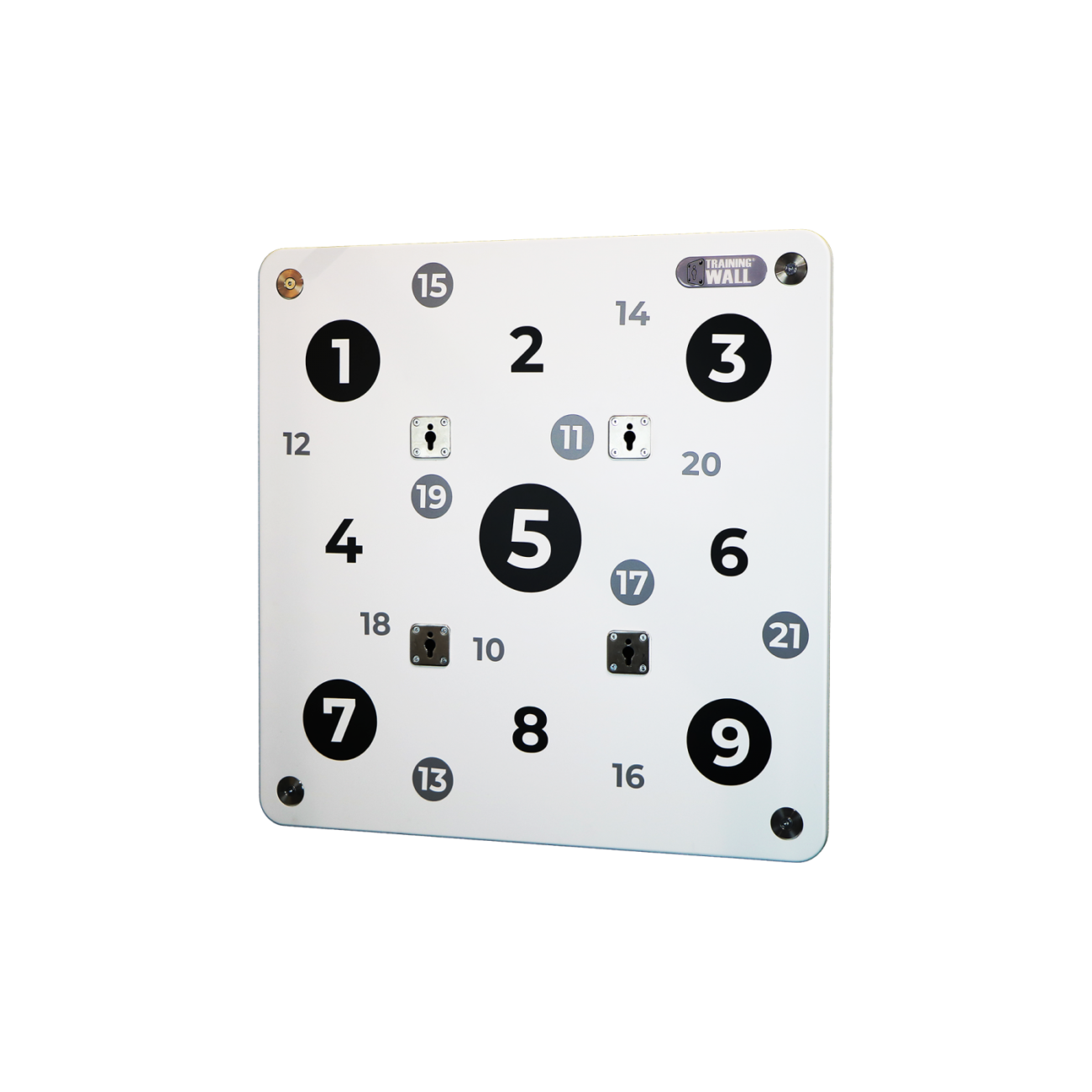 Training Wall | Reaction Panel