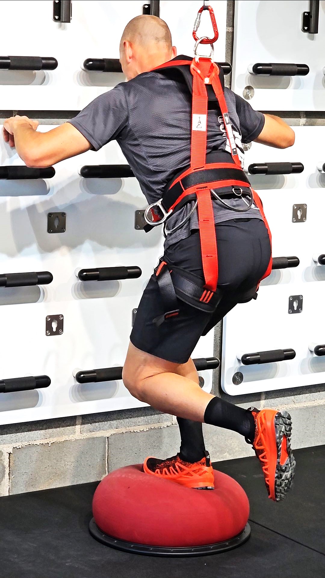Training Wall | Rehabilitation
